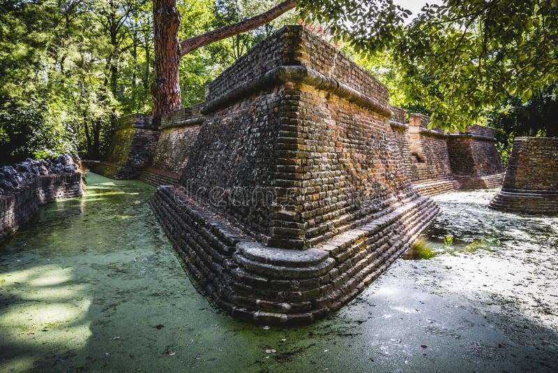 Environment, Building in Ruins on a Green Swamp with Water Stock Image ...
