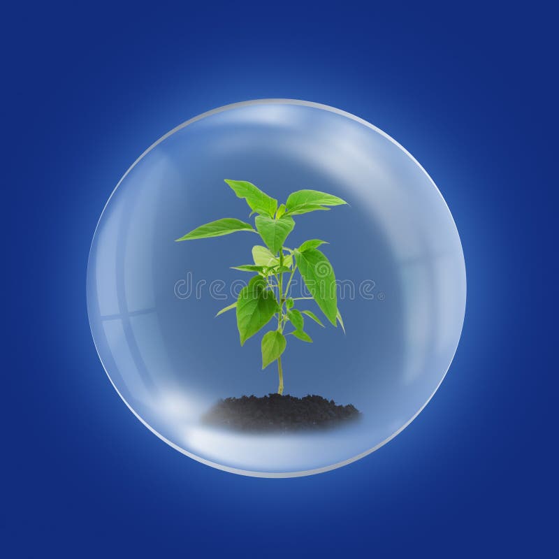 Environment concept stock photo. Image of globe, ecology - 29202842