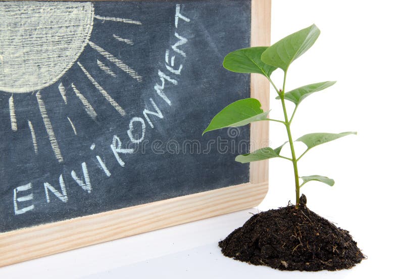 Environment Concept with a Green Small Plant and the Sun Stock Photo ...