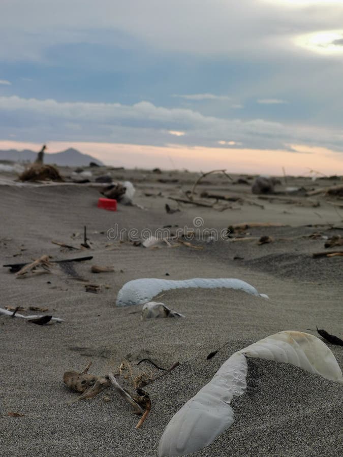 Environment Concept. Plastic Waste and Garbage, Pollution on the Beach ...