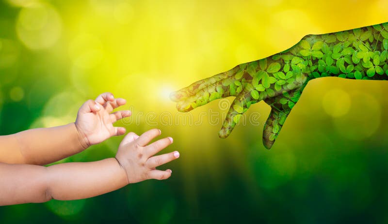 Concept Nature Reserve Conserve Wildlife Reserve Tiger Deer Global ...