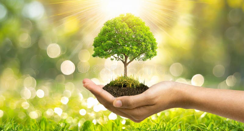 Environment Earth Day in the Hands of Trees Growing Seedlings. Bokeh ...