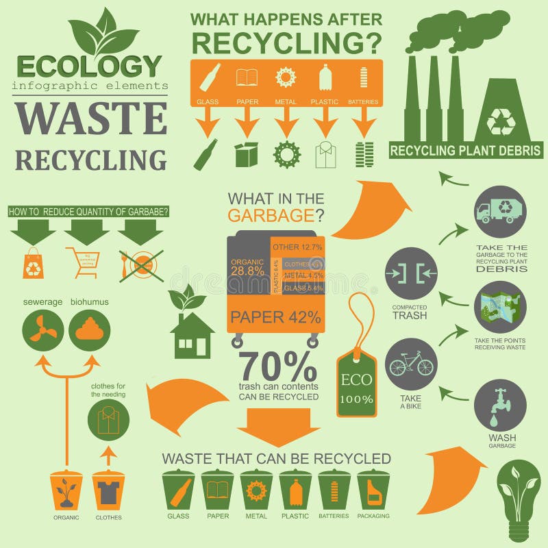 Vector Infographics Template Of Nature Ecology Stock Vector Infographics Template Of Nature Ecology Stock