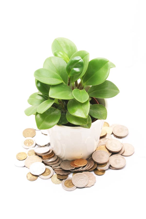 Environment economy stock image. Image of care, development - 19897819