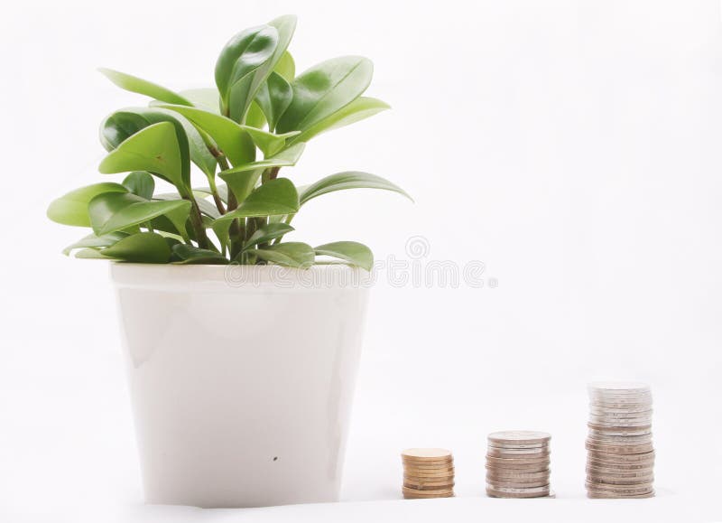 Environment economy stock photo. Image of sustainable - 19897886