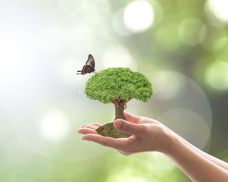 Environment and Ecosystem Preservation Concept with Tree Planting on ...