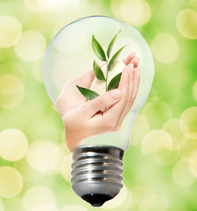 Environment friendly bulb stock photo. Image of energy - 7473470