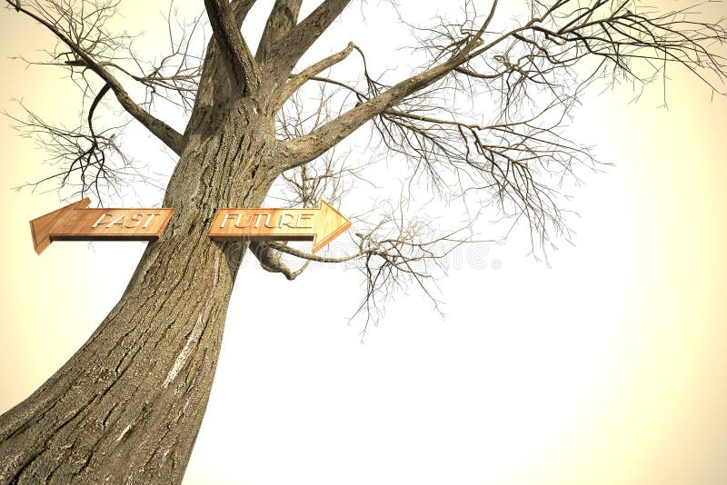 Environment Past Future Tree Sign Stock Illustration - Illustration of ...