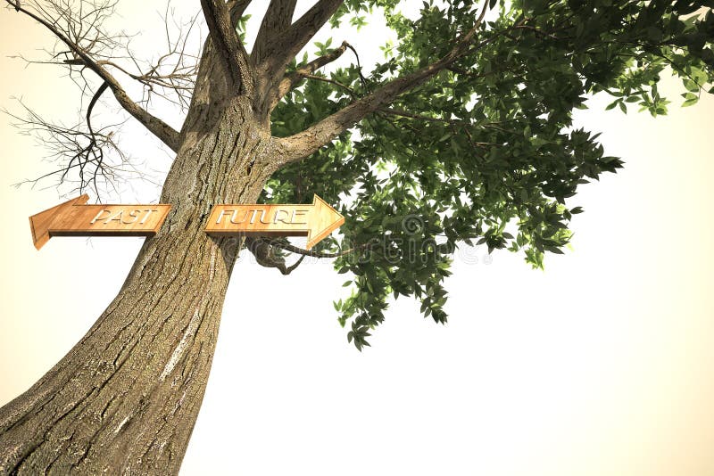 Environment Past Future Tree Sign Stock Illustration - Illustration of ...