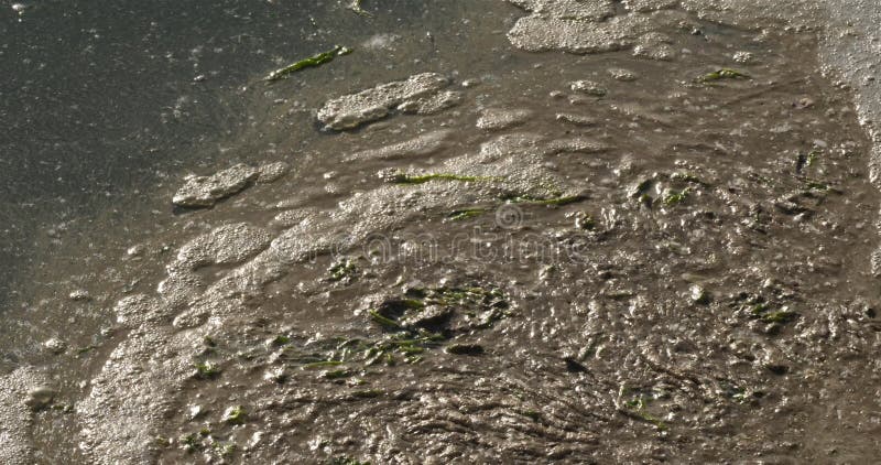 Environment and Polluted Water Surface Stock Footage - Video of liquid ...