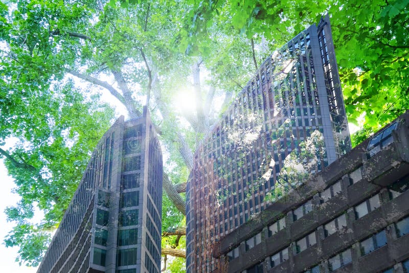 Environment Preservation. Double Exposure of Modern Buildings and Tree ...