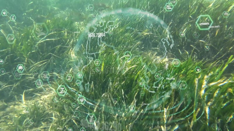 Environment Protection Concept. Renewable Energy. Sustainable ...