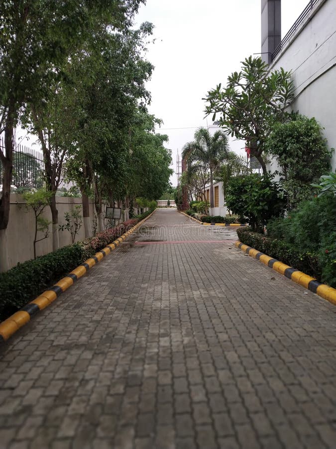 Environment after rain stock photo. Image of rain, concerns - 167957808