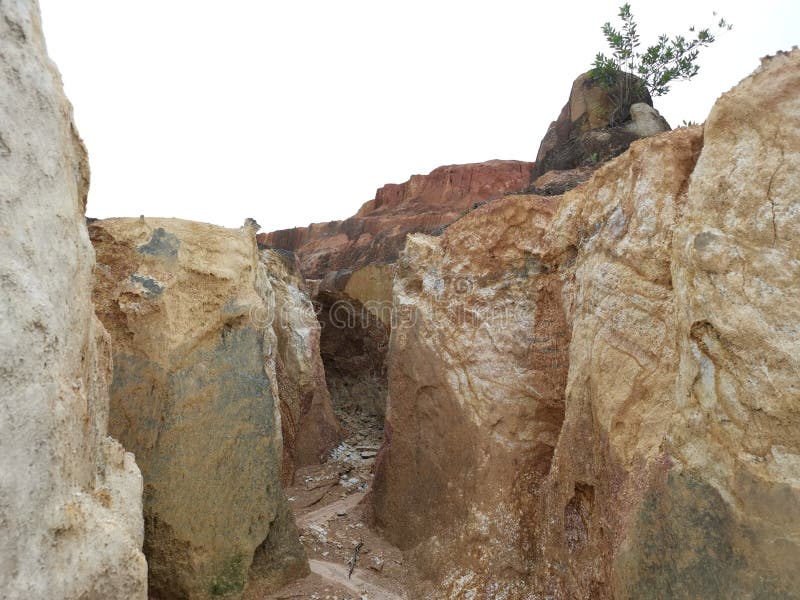 Environment Scene Around the Soil Texture and Pattern of the Limestone ...
