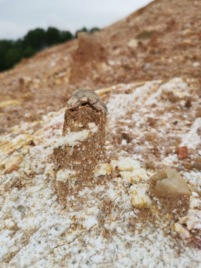 Environment Scene Around the Soil Texture and Pattern of the Limestone ...