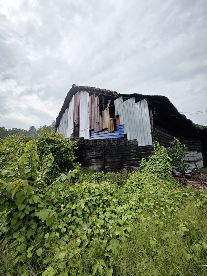 Environment Scene Around the Vicinity of Opened Field Outside the Old ...