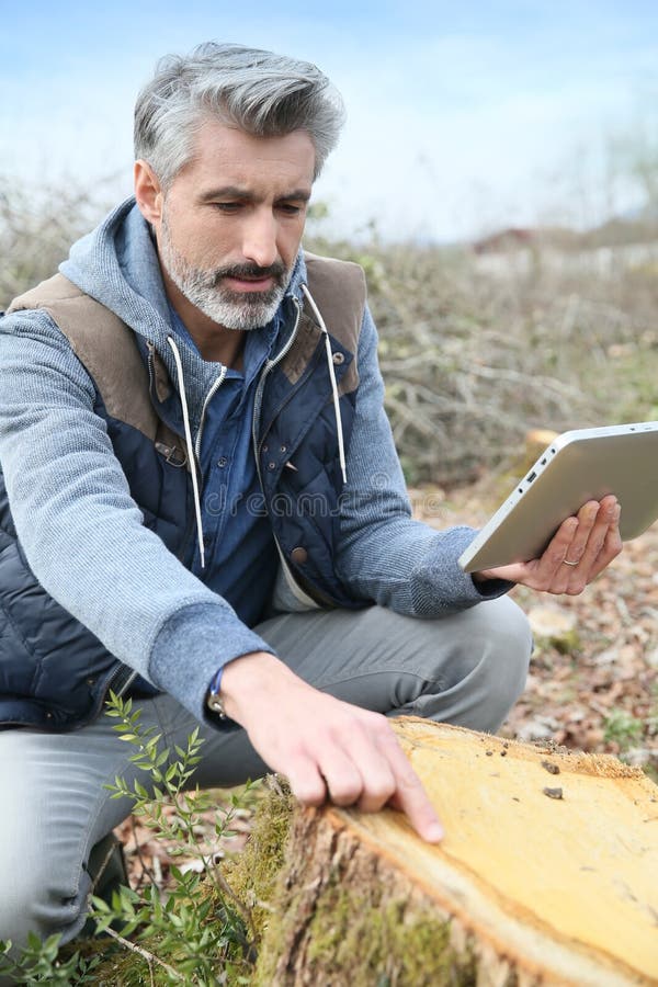 Environment Scientist Analysing Tree Trunk Stock Photos - Free ...