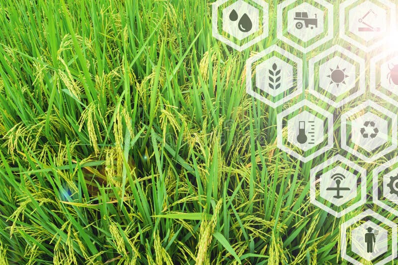 Environment and Technologies Symbols on Nature Background. Technologies ...