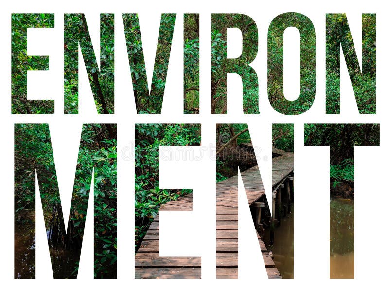 Environment Text with Landscape of Forest Isolated White Background ...