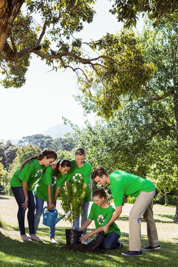 Environmental Activists Planting a Tree in the Park Stock Photo - Image ...