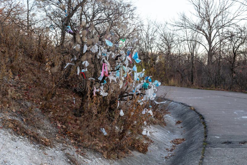 An environmental barbarity editorial photo. Image of rubbish - 239211516