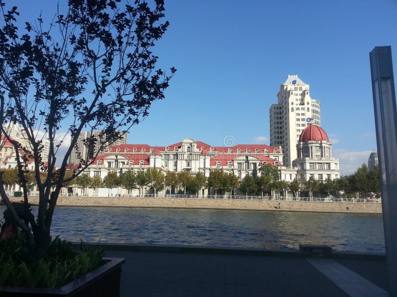 Environmental beauty editorial image. Image of environmental - 150972405