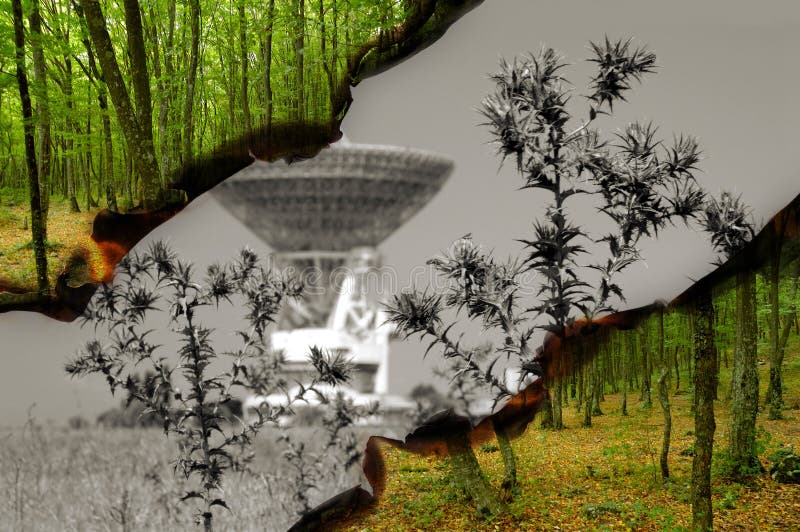 Environmental Concept stock image. Image of communications - 13429249