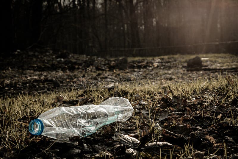 Environmental Concept. Forest with Trash, Plastic Rubbish. Garbage ...