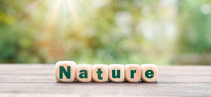 Environmental Conservation Concept, Protecting and Preserving Resources ...