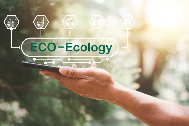 Environmental Conservation Concept, Protecting and Preserving Resources ...