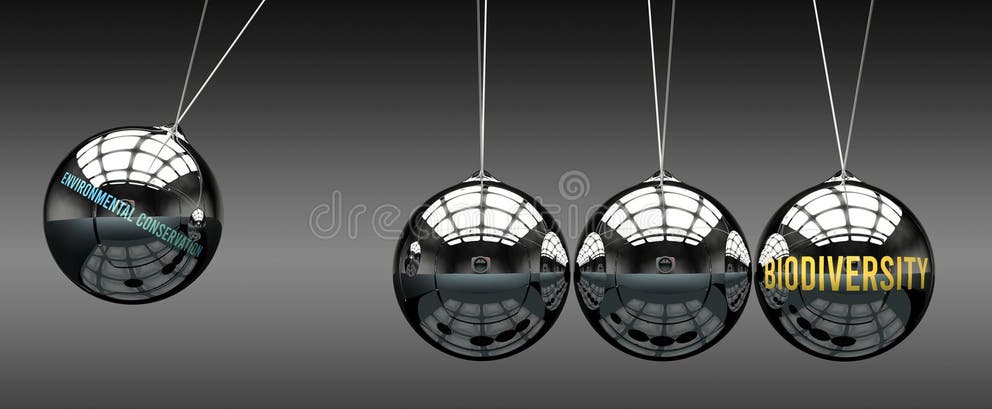 Environmental Conservation Leads To Biodiversity. Cause and Effect ...