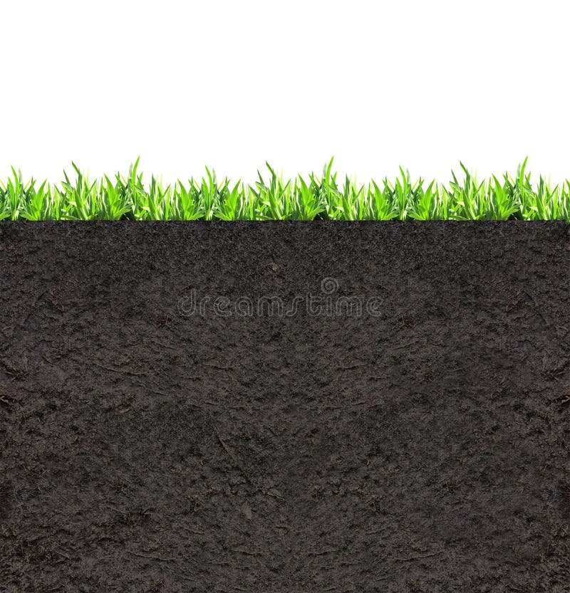 Environmental and Conservation Protection Background. Cross Section of ...