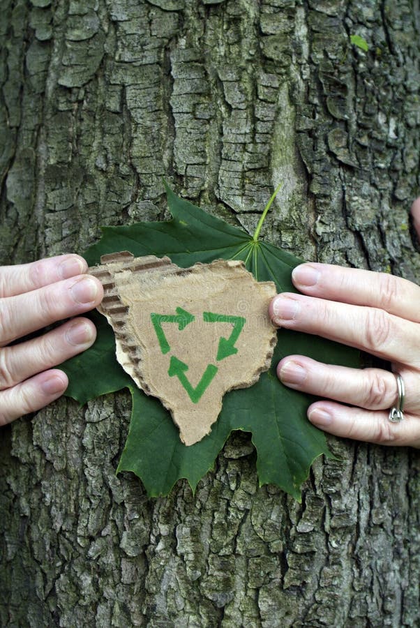 Environmental Conservation Tree Stock Photo - Image of friendly ...