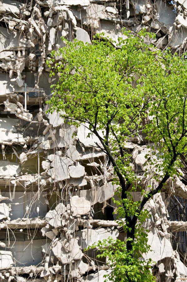 Environmental contrast stock photo. Image of environmental - 5141810