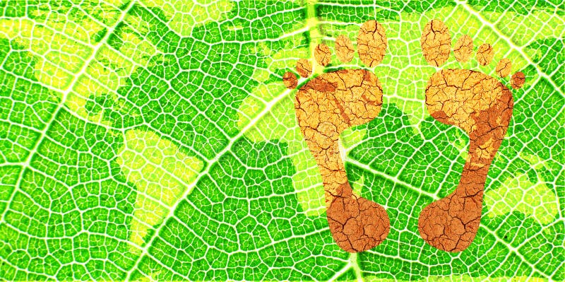 1,233,000+ World map footprints Free Stock Photos - StockFreeImages