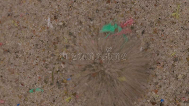 Contamination of the Environment with Micro Plastic, a Close-up of ...