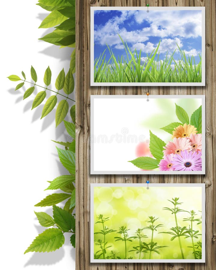 Environmental image stock photo. Image of copy, back - 23005764