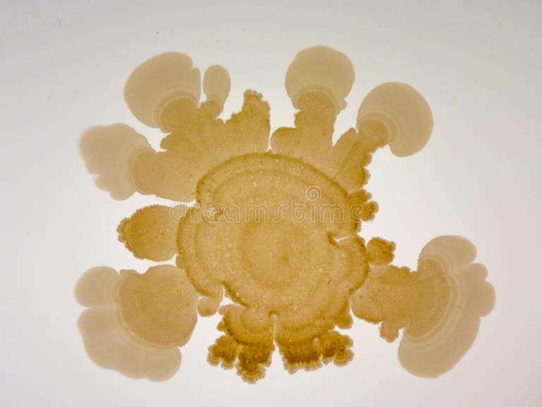 Environmental isolate stock photo. Image of isolate, yellow - 83347528