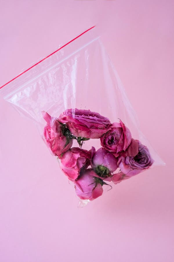 Environmental Pollution Concept. Flower in a Plastic Bag. Danger ...