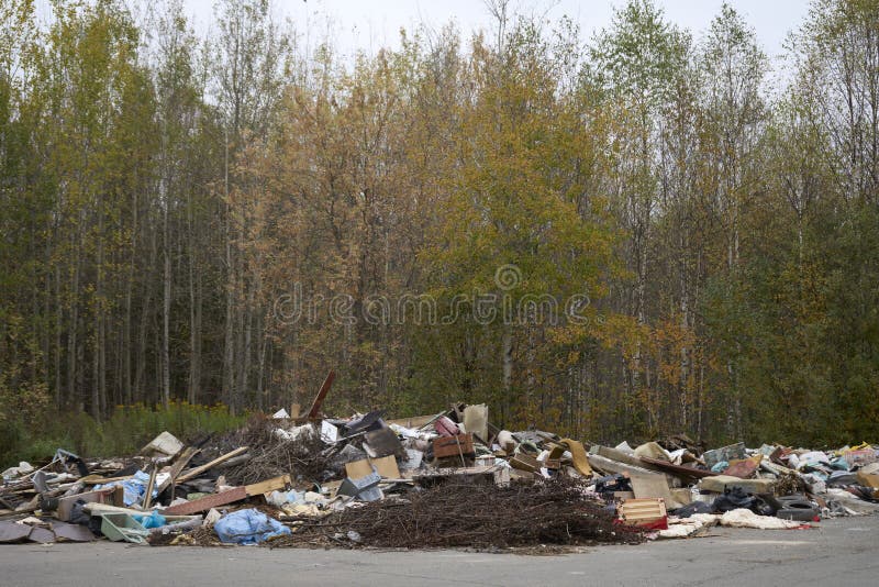 Environmental Pollution Concept, Garbage Dump in the Forest Stock Photo ...