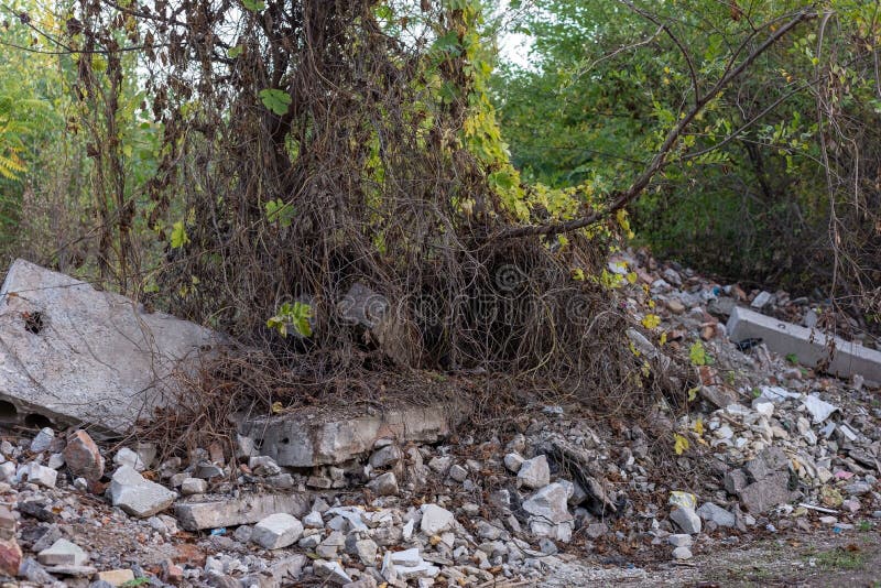 Environmental Pollution by Construction Waste Concrete Slabs Stock ...