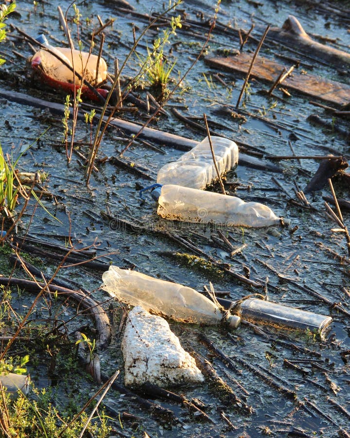 Plastic Bottles Thrown into the Swamp. Garbage, Waste, Environmental Pollution Stock Photo ...