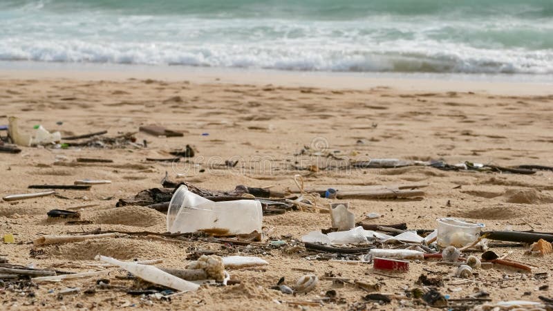 Garbage on sand beach stock photo. Image of trash, environmental ...
