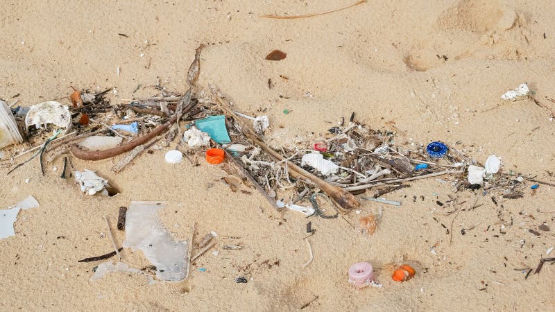 Garbage on sand beach stock image. Image of domestic - 187481031