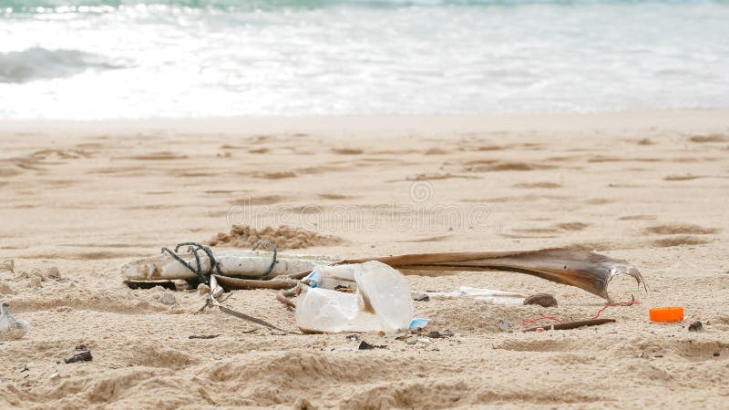 Garbage on sand beach stock photo. Image of heap, sand - 187481054