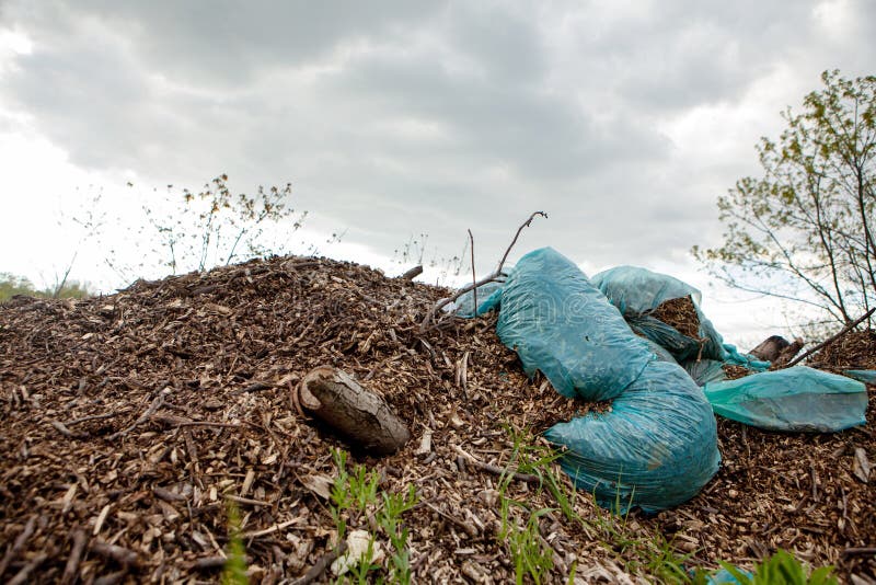 Garbage dump in the field. stock image. Image of environment - 180714259