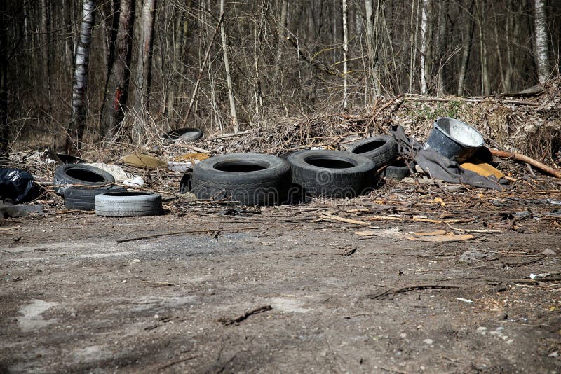 Environmental Pollution - Garbage Dump in Forest Stock Image - Image of ...