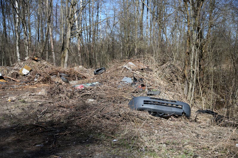 Environmental Pollution - Garbage Dump in Forest Stock Image - Image of ...