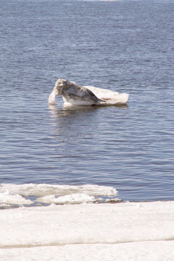 Environmental Pollution an Ice Floe during an Ice Drift with a Plastic ...