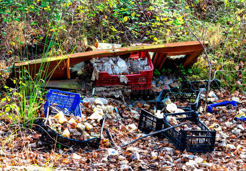 Environmental Pollution with Litter Thrown in a Forest Stock Photo ...